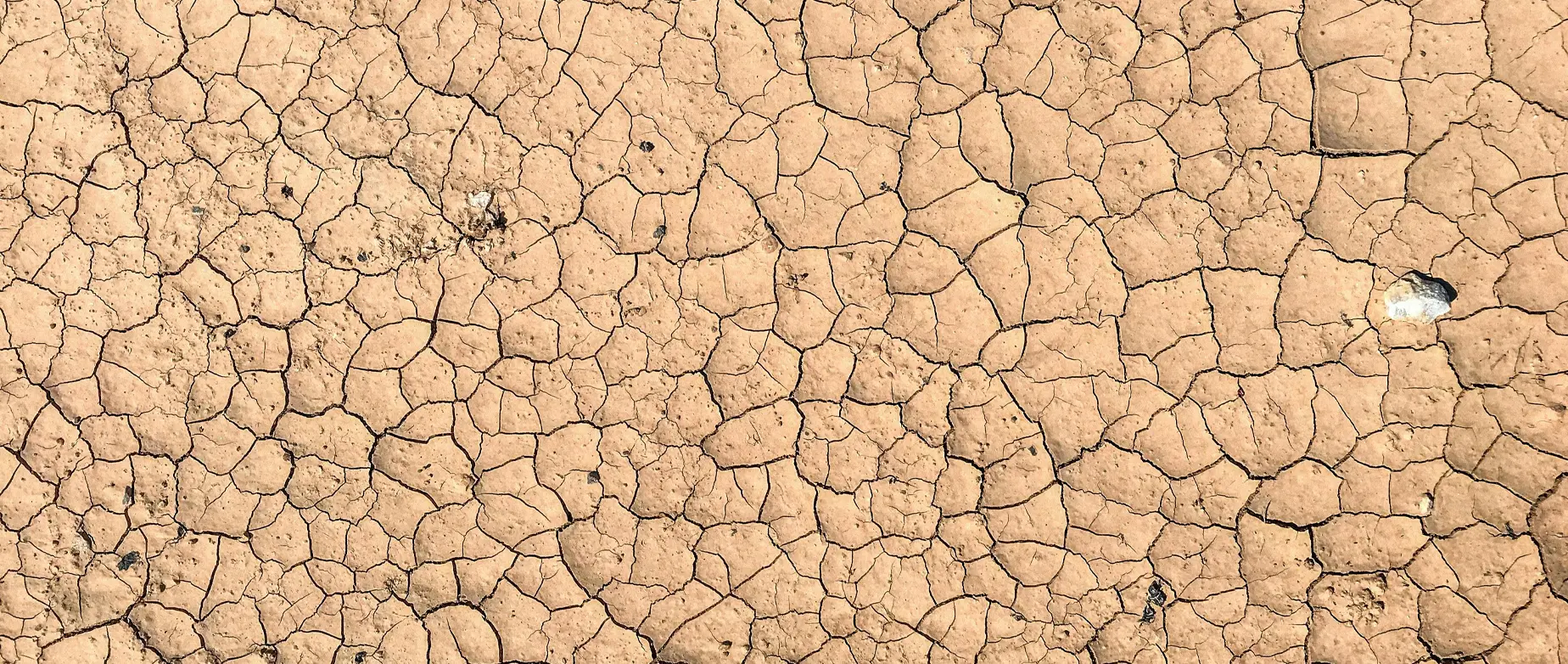 How to Handle a Drought | Prep and Save